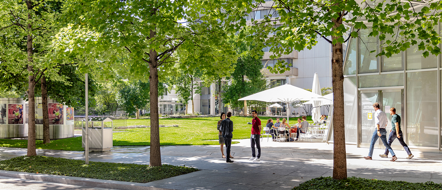 Novartis Campus | Novartis Campus